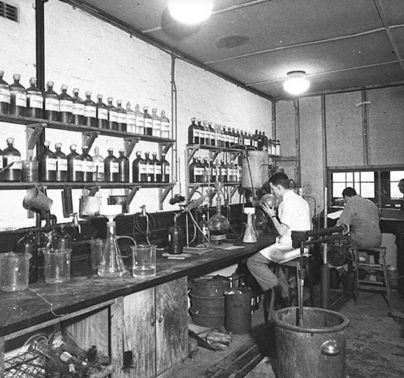 Strategy Study: The CSL Limited Growth Study